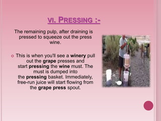 Wine production and its applications | PPTX