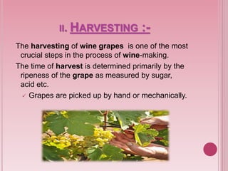 Wine production and its applications | PPTX
