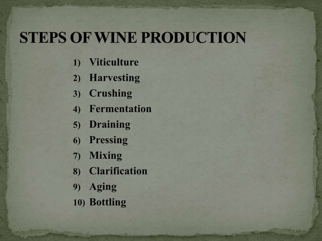 wine production (large scale production).pptx