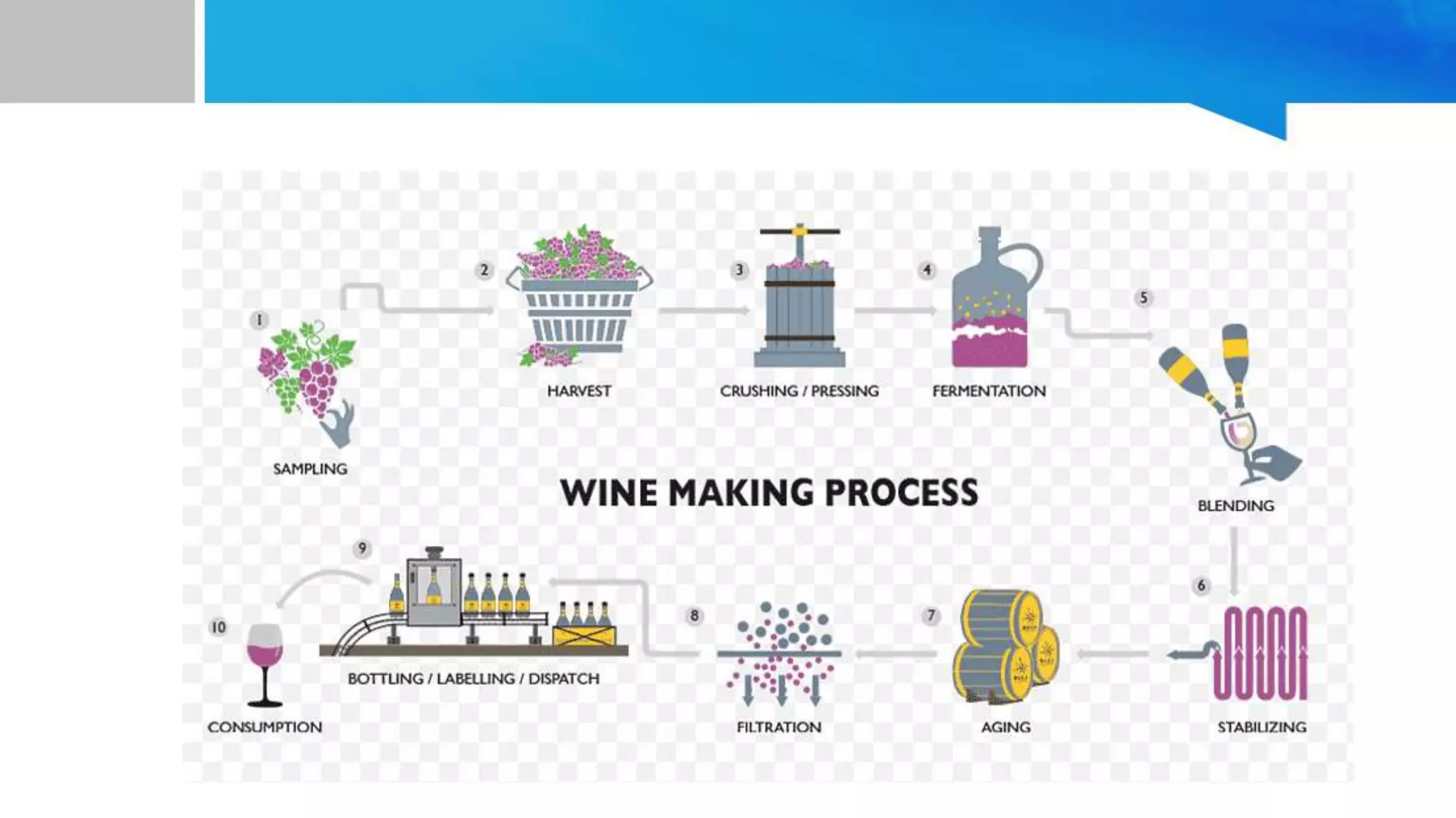 Wine production (k.s) | PPT