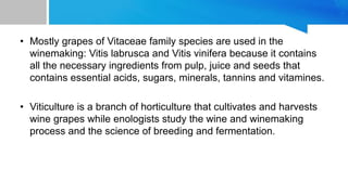 Wine production (k.s) | PPTX