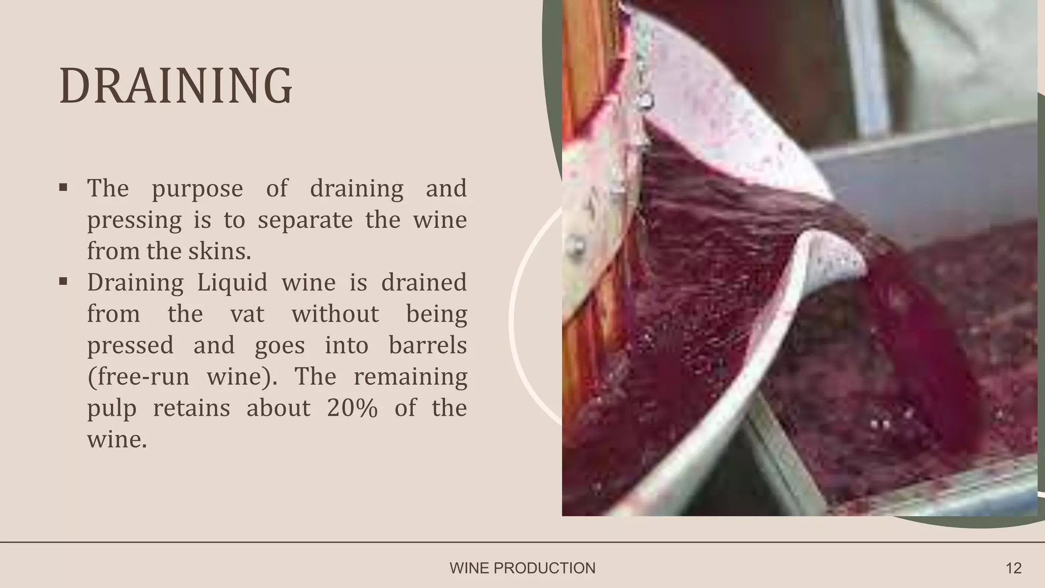 WINE PRODUCTION ppt.pptx