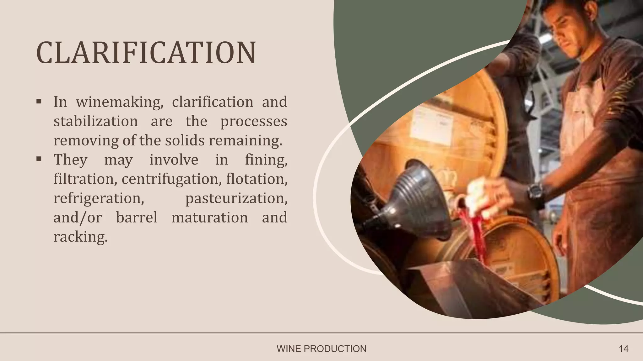 WINE PRODUCTION ppt.pptx