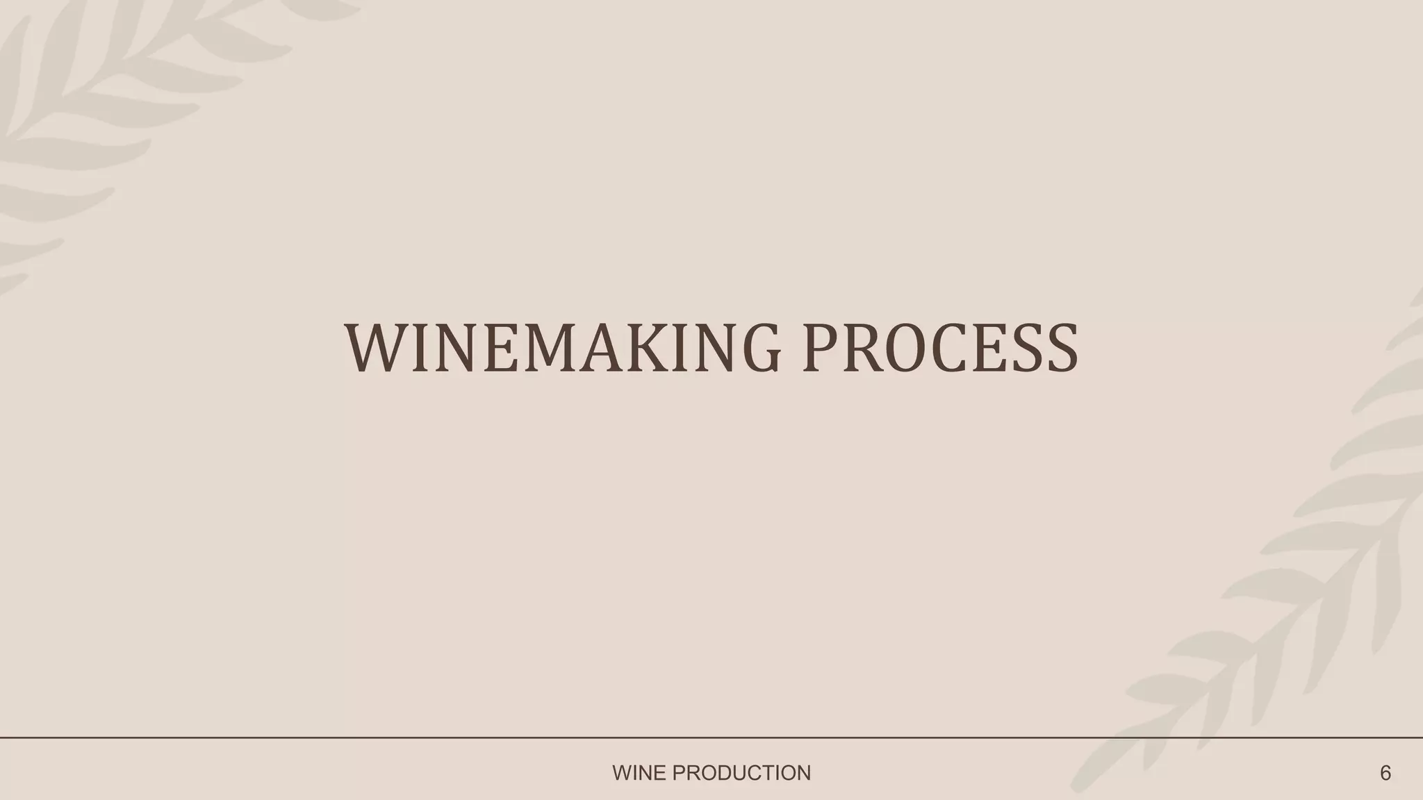 WINE PRODUCTION ppt.pptx