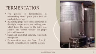 WINE PRODUCTION ppt.pptx