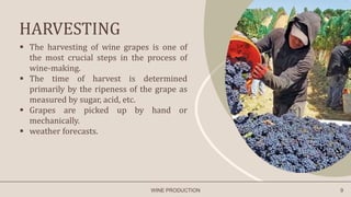 WINE PRODUCTION ppt.pptx