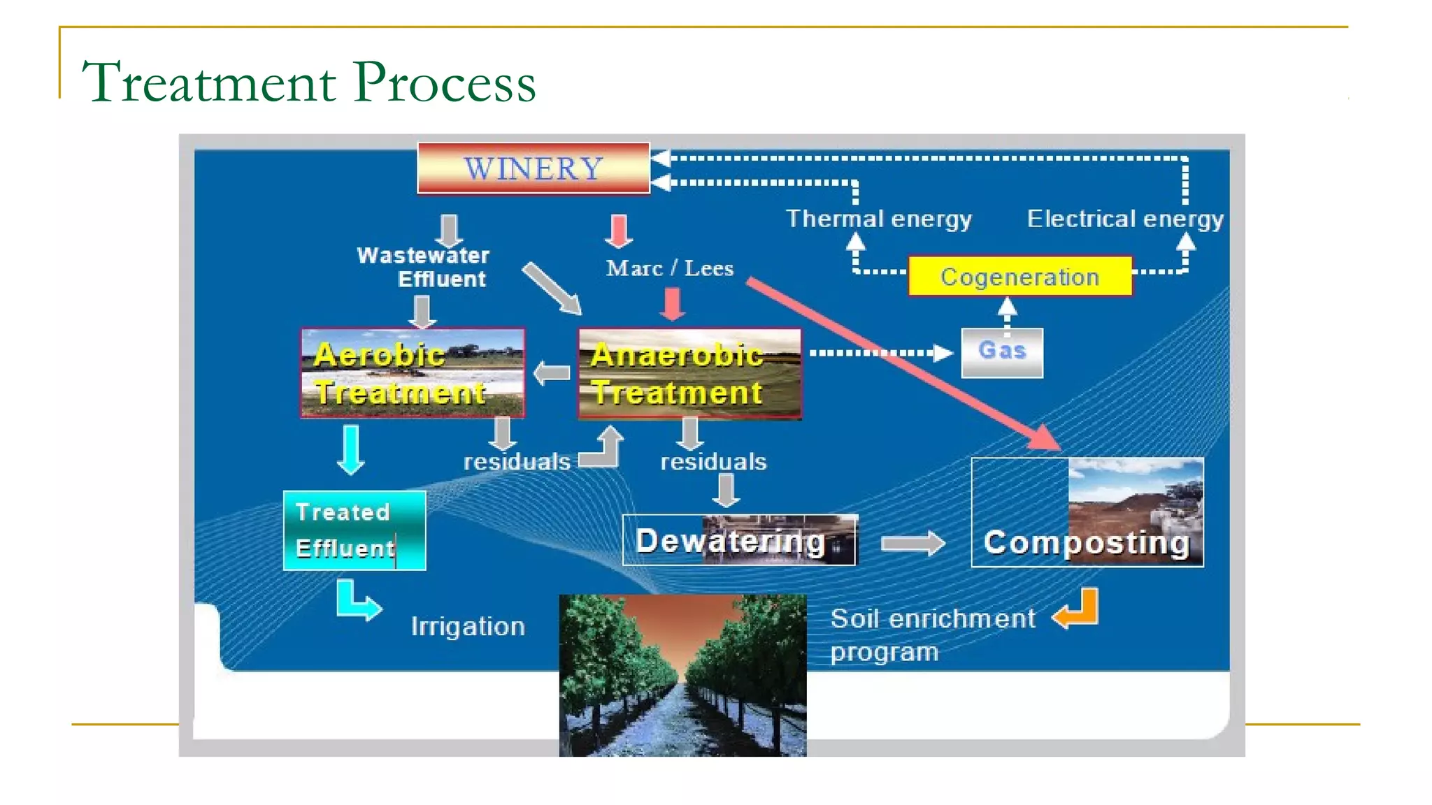 Wine production & waste treatment | PPT