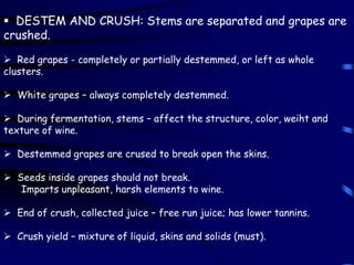 Wine producttion | PPT