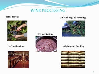 Wines | PPTX | Alcoholic Beverages | Food & Drink