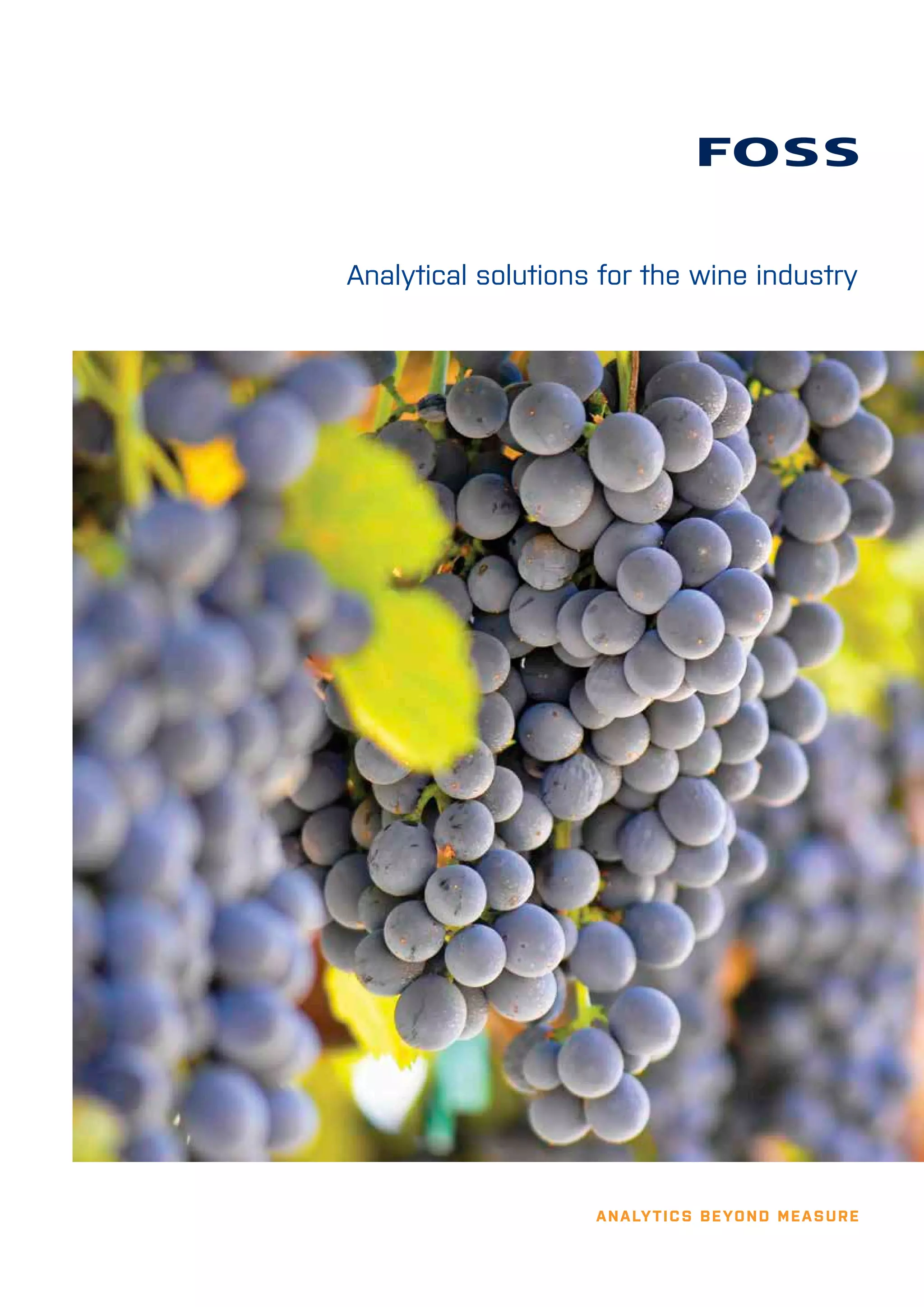 Wine Analysis Solutions | PDF