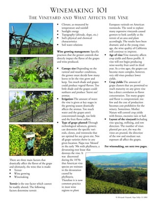 Wine service training | PDF | Gardening | Home & Garden