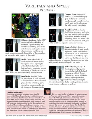 Wine service training | PDF | Gardening | Home & Garden