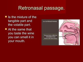 WINE TASTING: SMELL | PPT