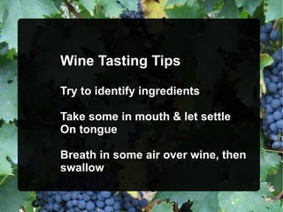 Wine Tasting Tips | PPT