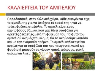 Κρασί | PPT