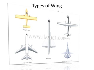 The types of Wing | PPTX