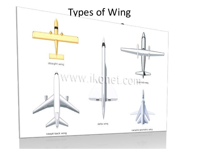 The types of Wing