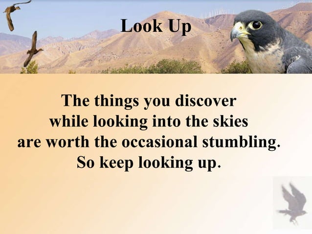 Winging It: A Life Inspired by Birds & Words | PPT