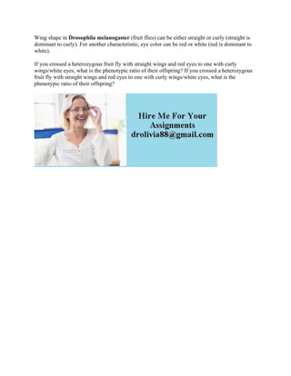 Wing shape in Drosophila melanogaster (fruit flies) can be either stra.pdf