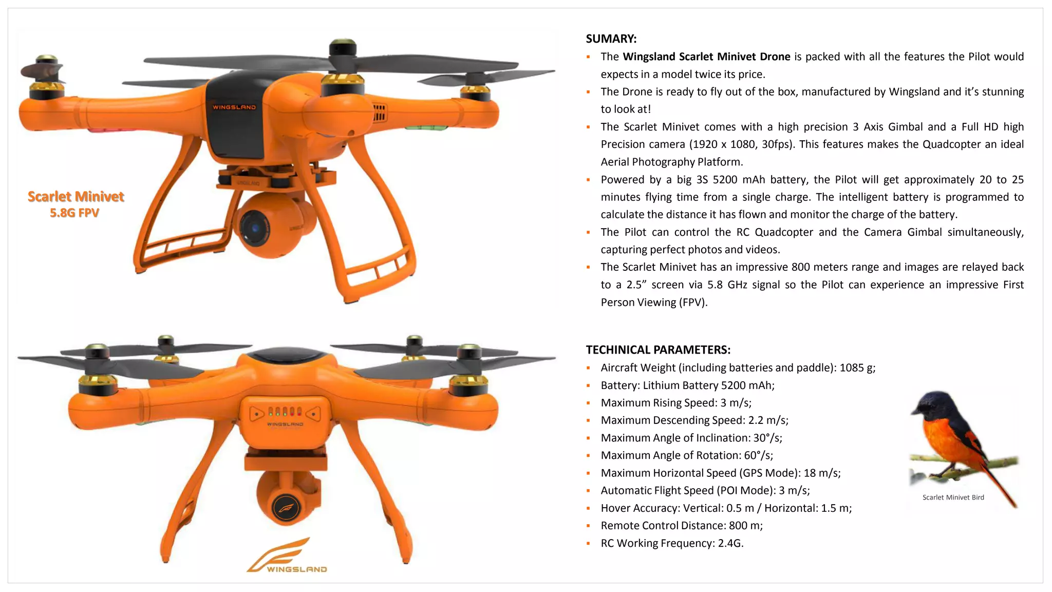 Wingsland Scarlet Minivet REVIEW | PDF