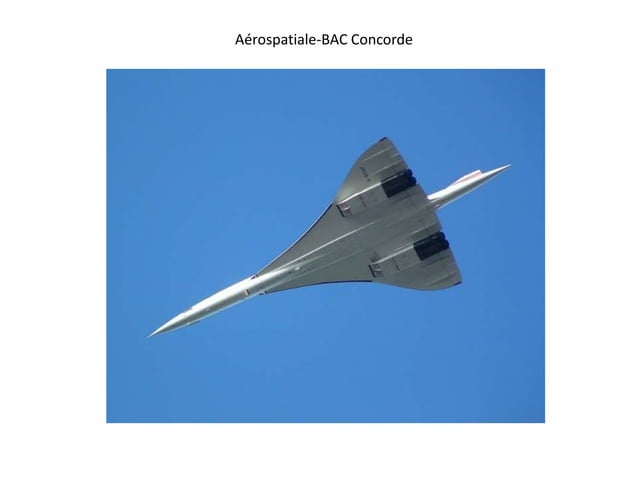 Wings plan form shapes | PPTX