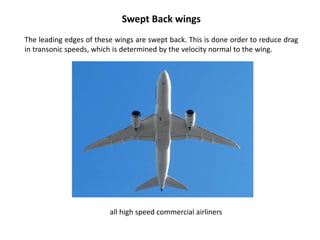 Wings plan form shapes | PPTX