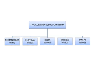 Wings plan form shapes | PPTX