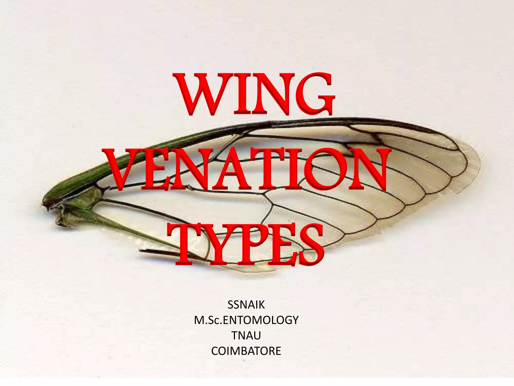 WING TYPES AND VENATION SSNAIK | PPTX