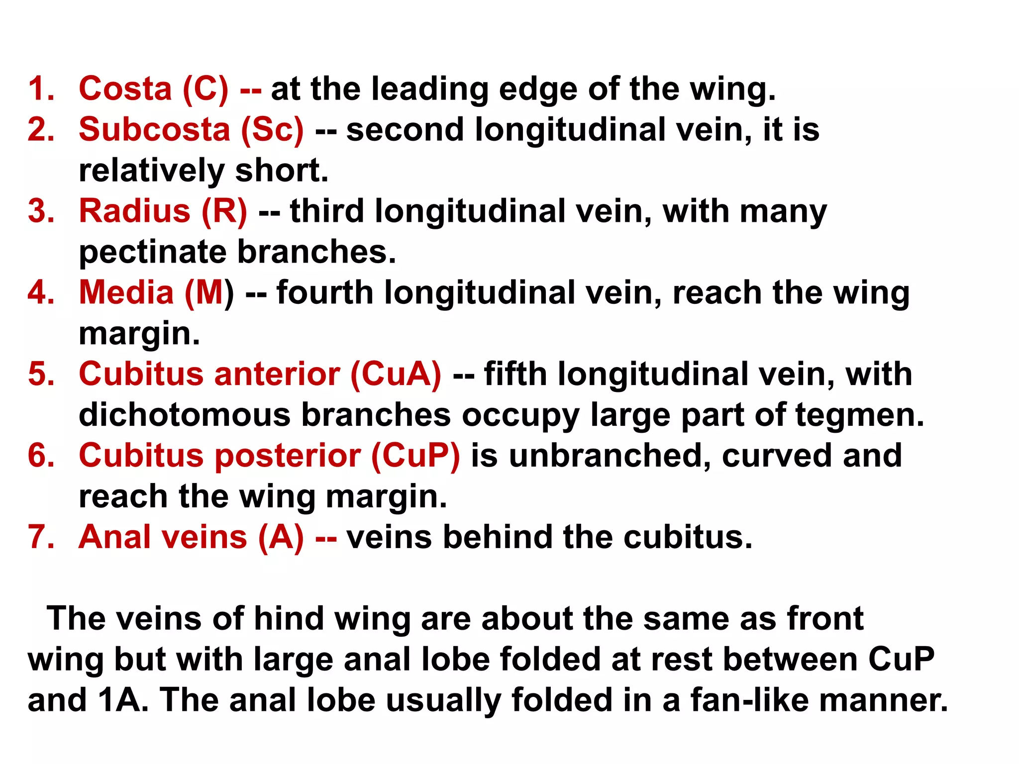 WING TYPES AND VENATION SSNAIK | PPTX