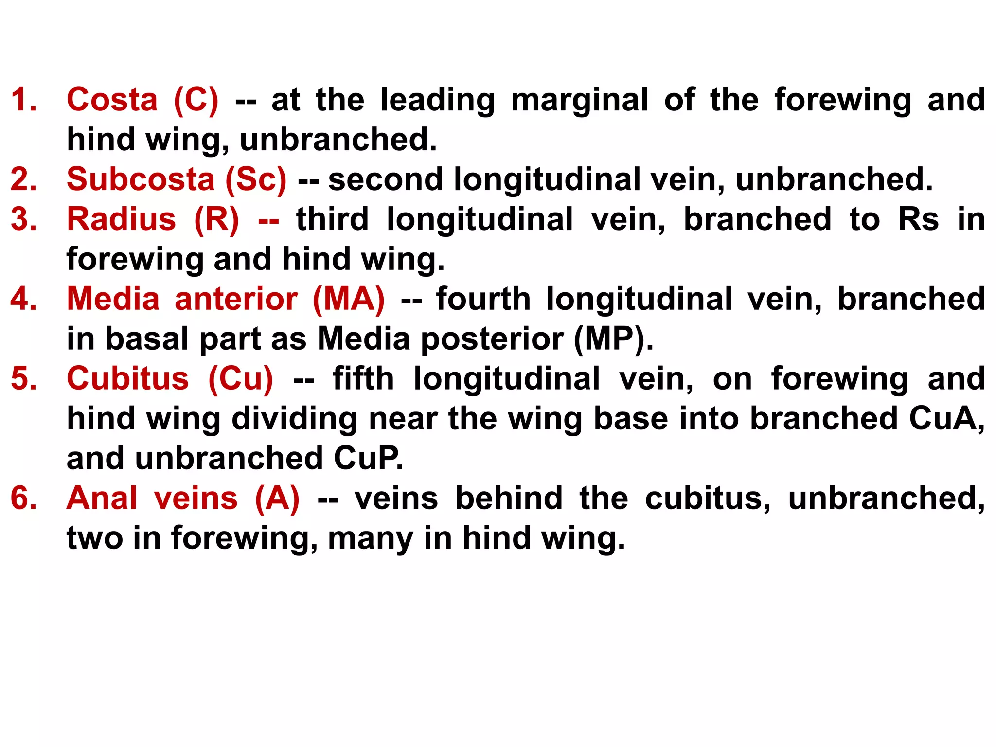 WING TYPES AND VENATION SSNAIK | PPTX