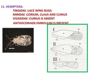 WING TYPES AND VENATION SSNAIK | PPTX