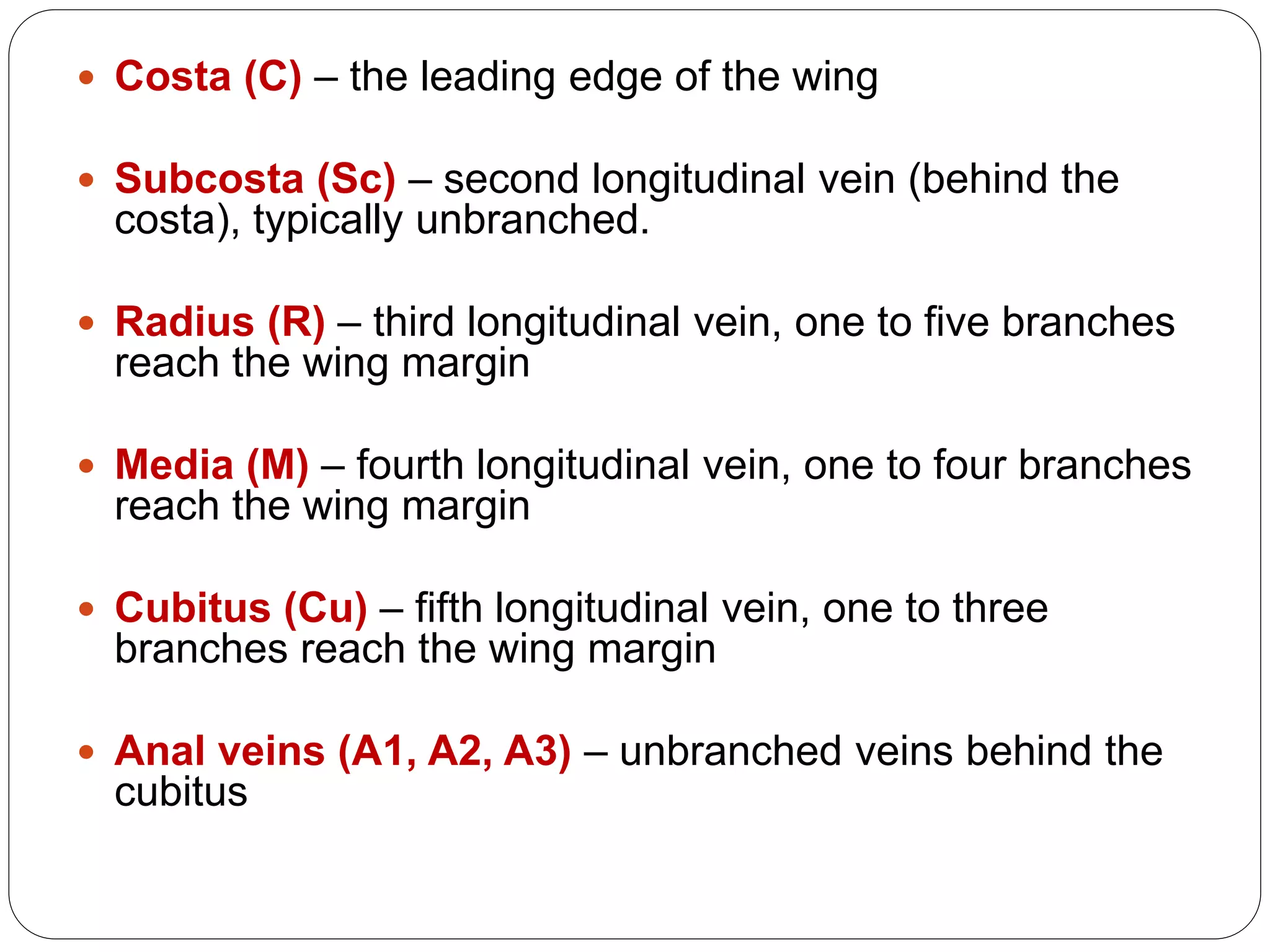 WING VENATION IN INSECTS | PPTX