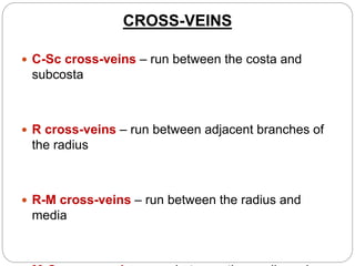 WING VENATION IN INSECTS | PPTX
