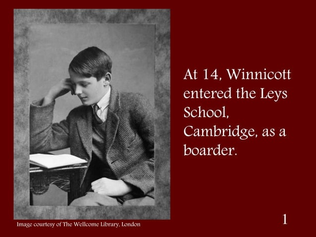 Winnicott in pictures | PPTX | Mental Health | Diseases and Conditions