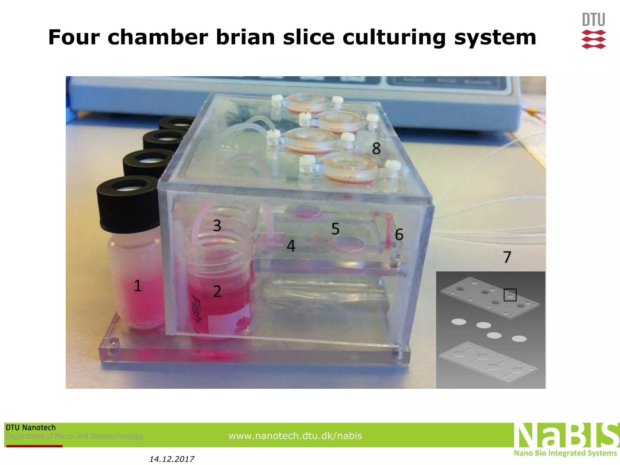 Microfluidic Solutions for Cell and Tissue Studies | PPT