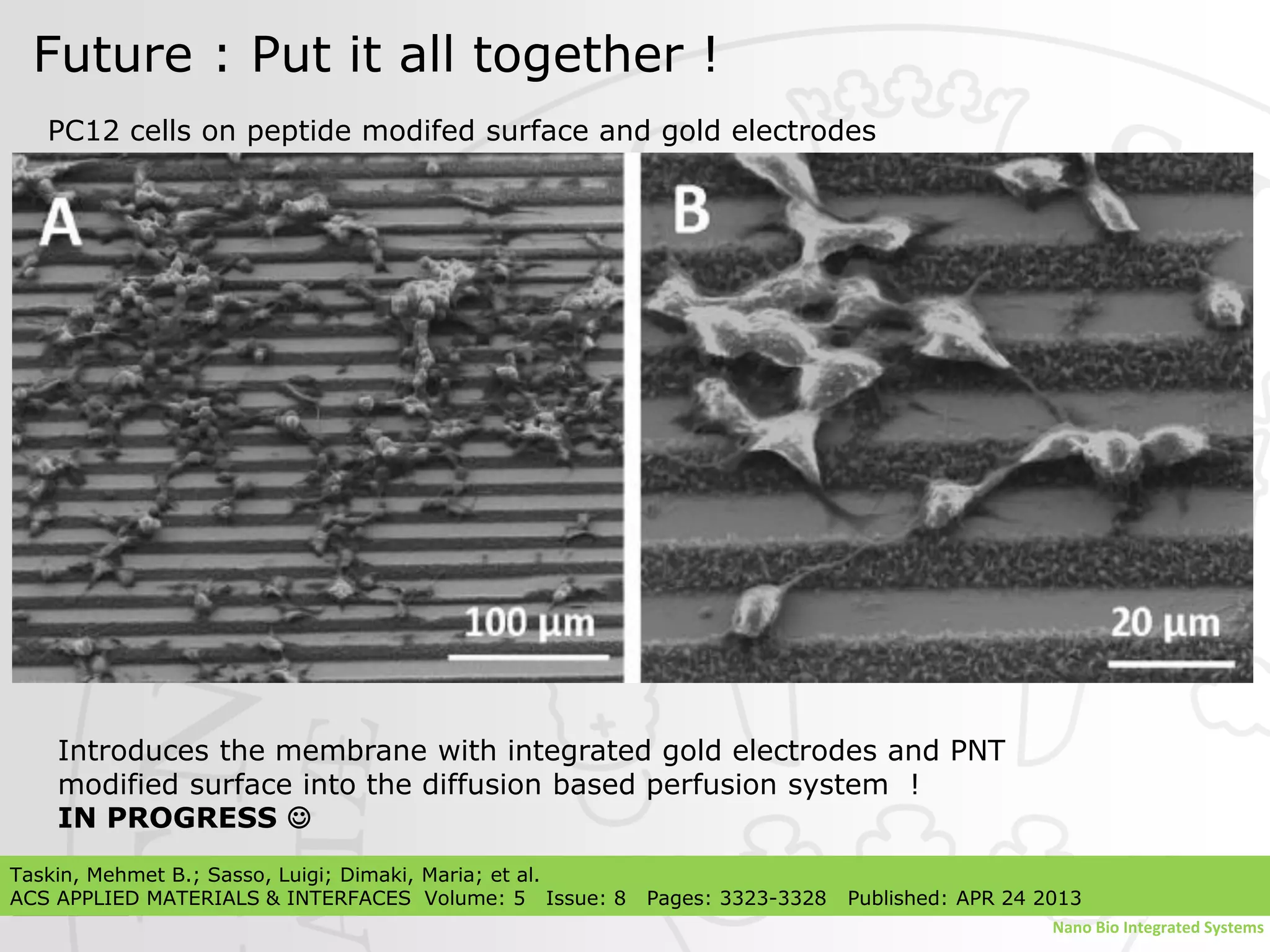 Microfluidic Solutions for Cell and Tissue Studies | PPT