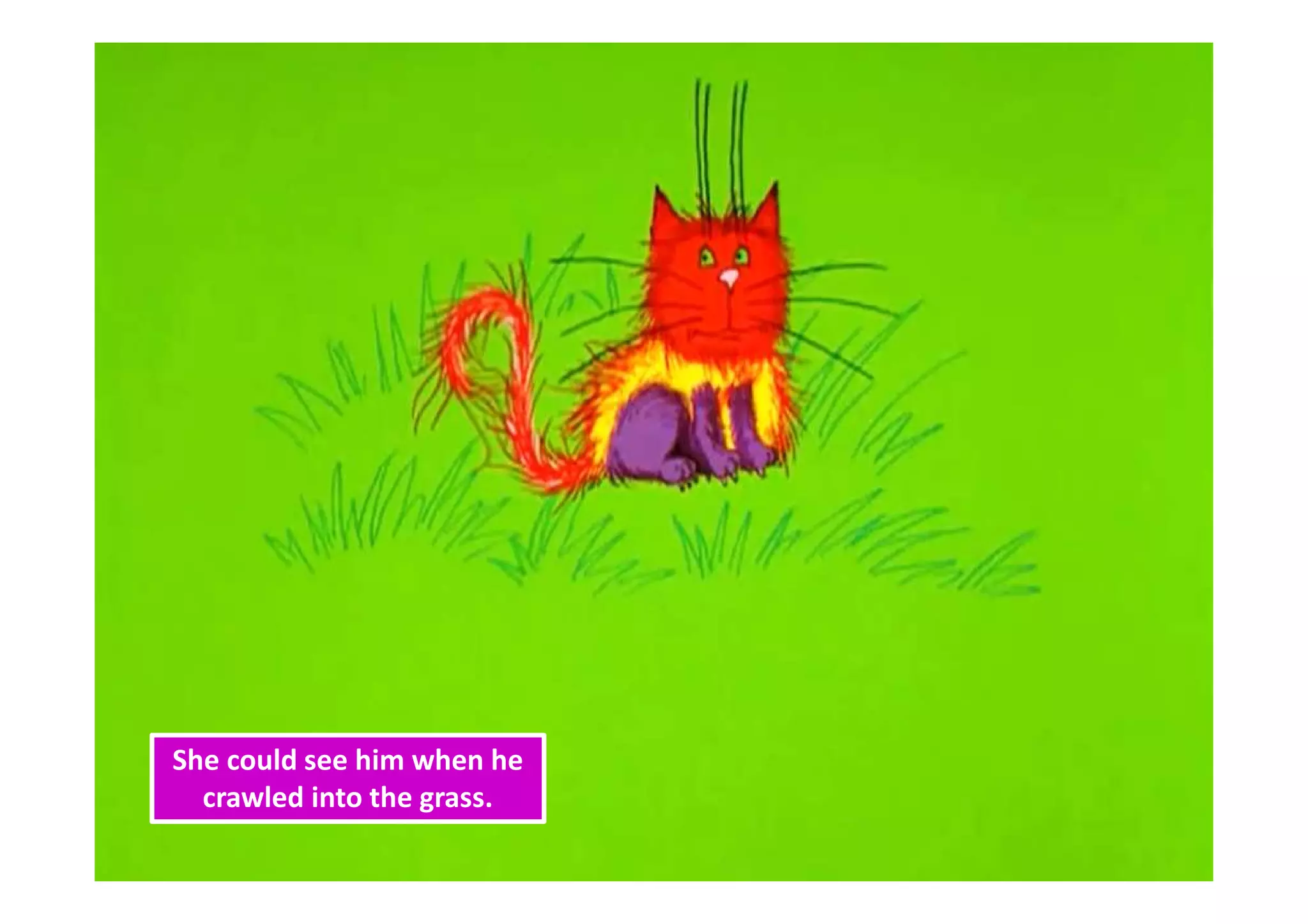 Winnie the witch story presentation | PDF