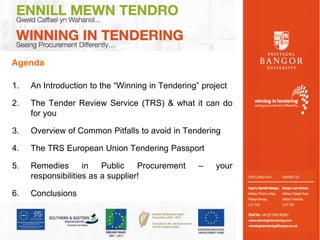 Public sector tendering - your route to success | PPSX | Business ...