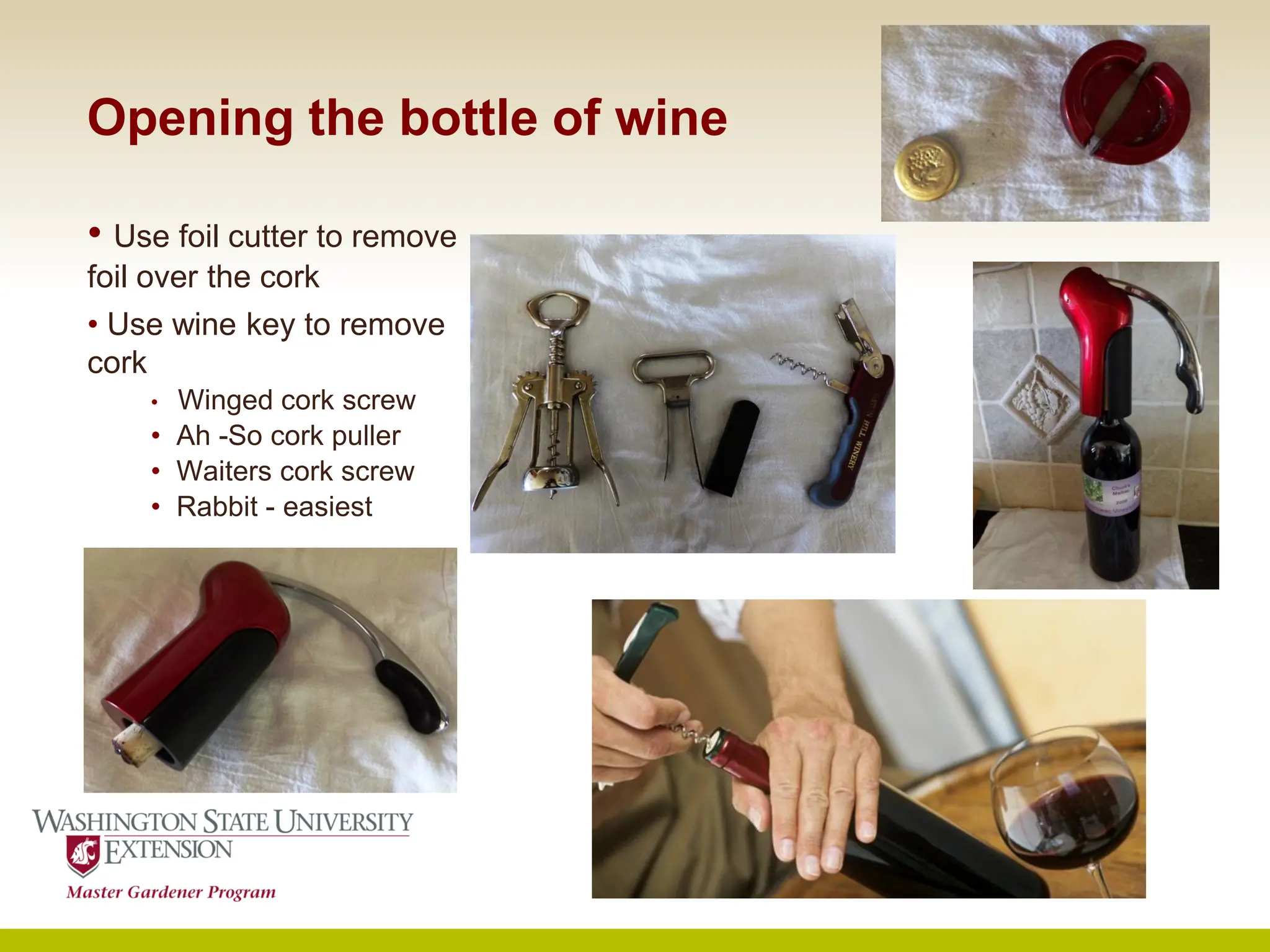 Wino-101-basics Introduction to Wine Industry | PDF