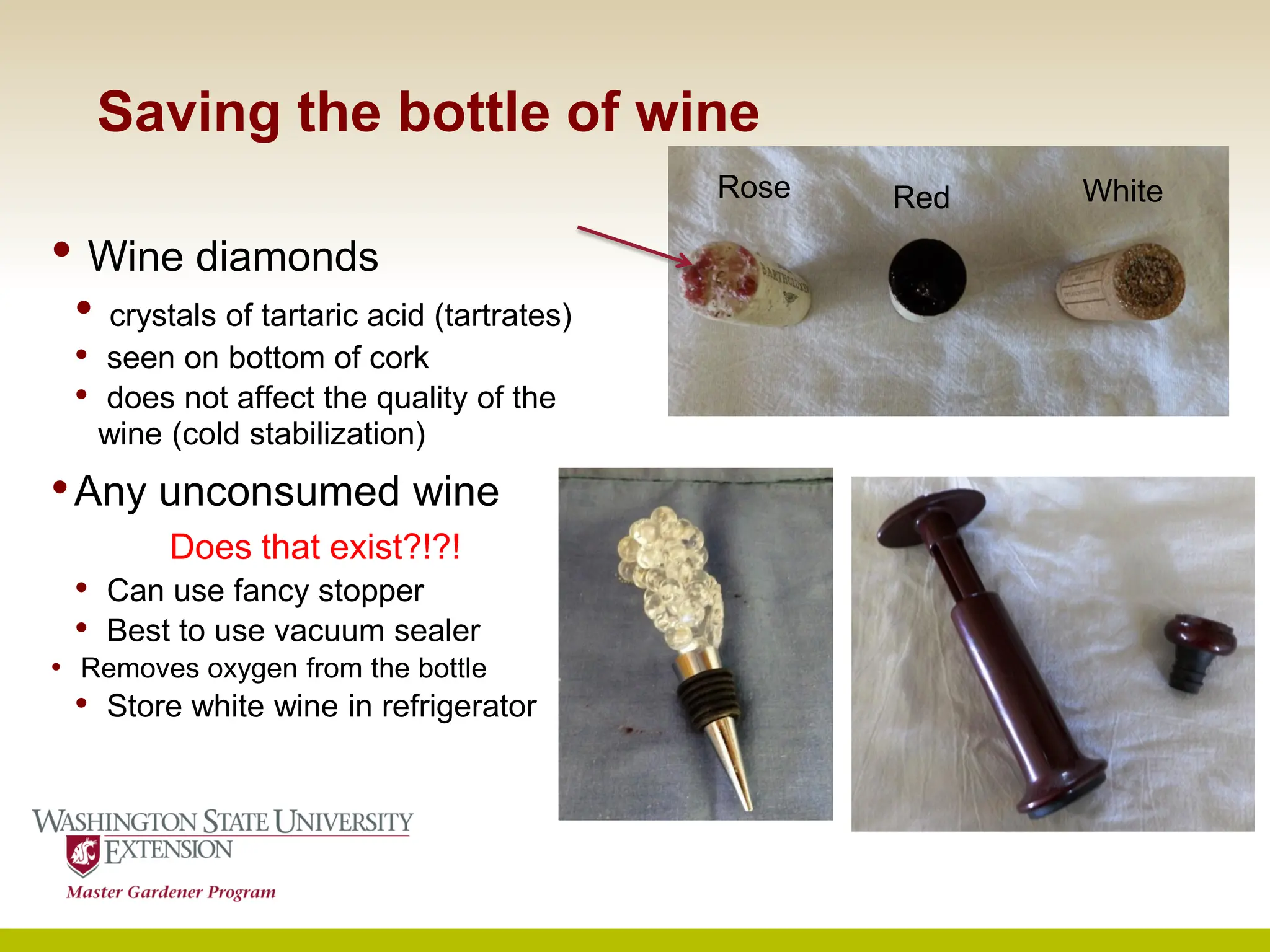 Wino-101-basics Introduction to Wine Industry | PDF
