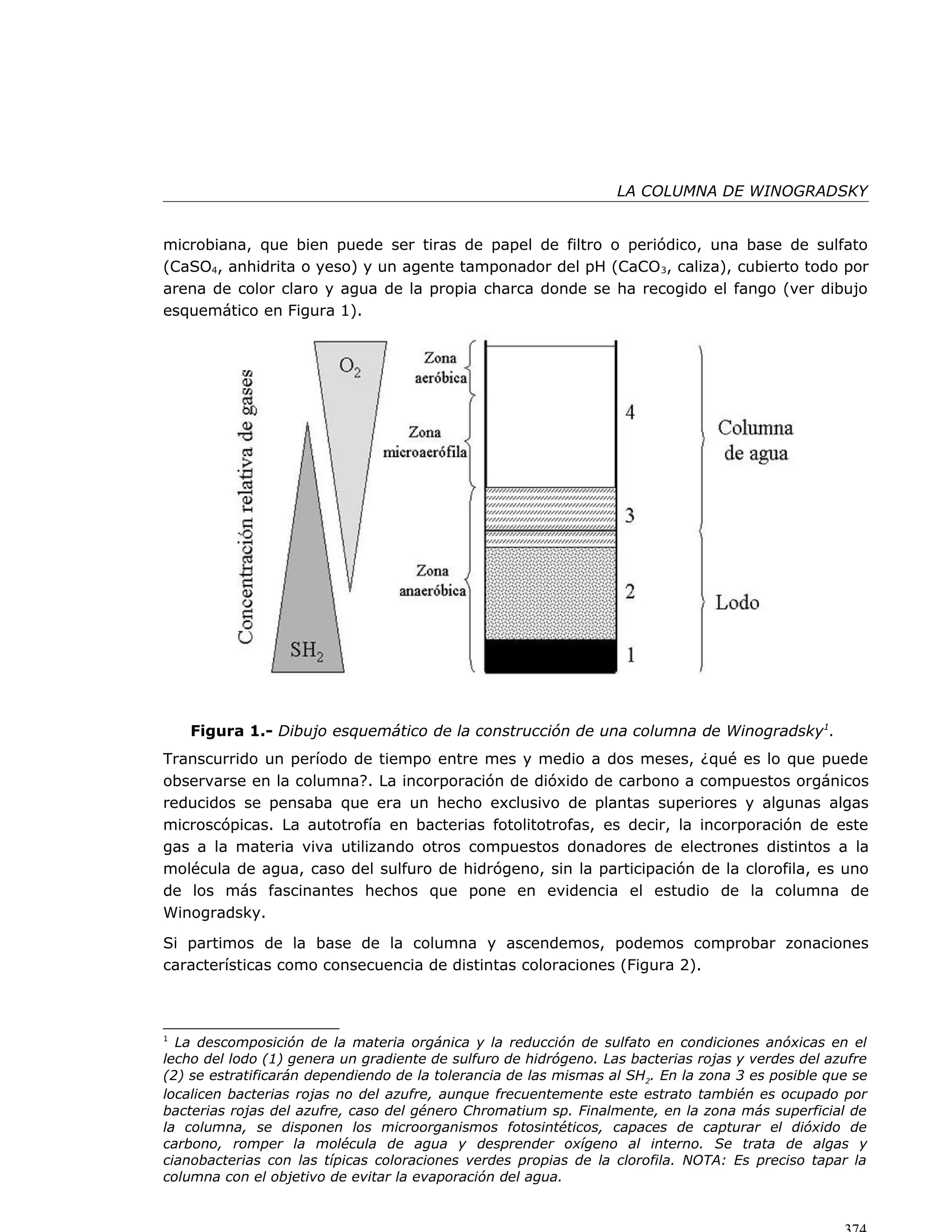 Columna de Winogradsky | PDF