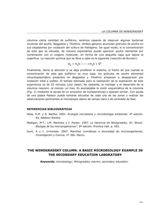 Columna de Winogradsky | PDF