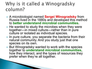 WINOGRADSKY'S COLUMN.pptx