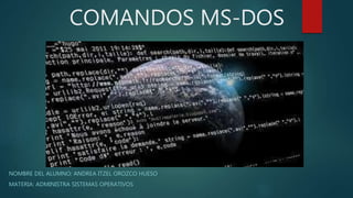 Comandos MS-DOS | PPT