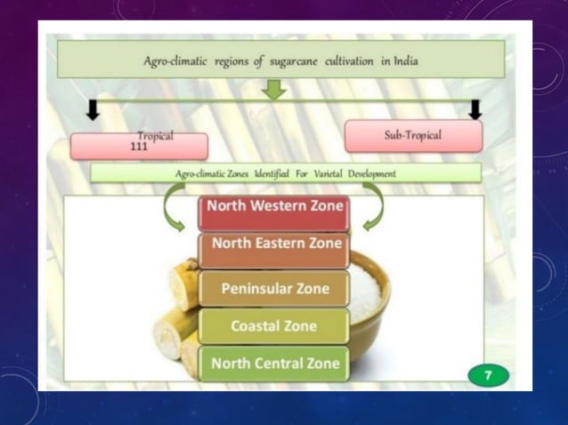 Crop improvement - 2 -Rabi crops (wheat) | PDF