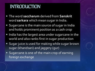 Crop improvement - 2 -Rabi crops (wheat) | PDF