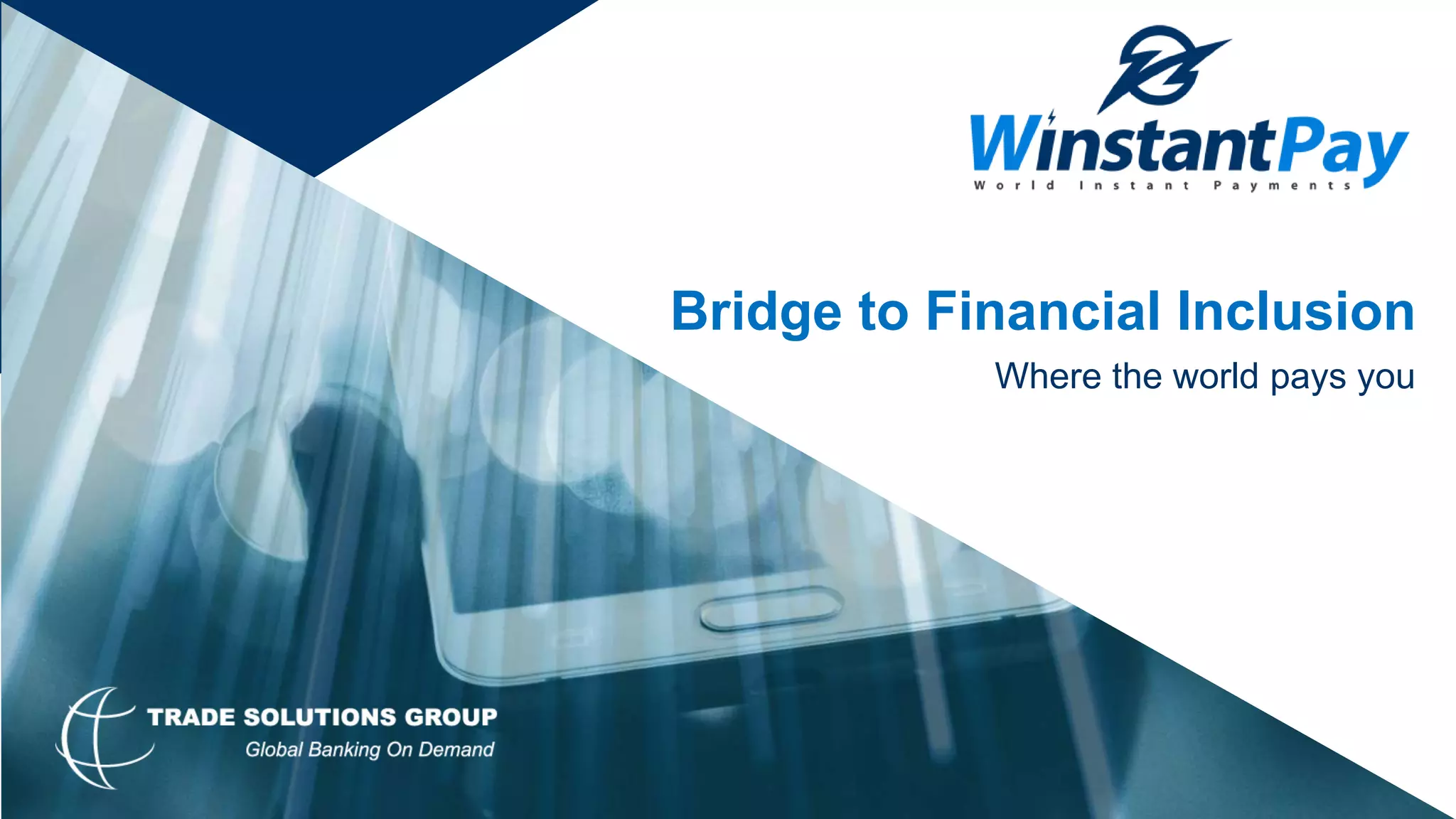 WinstantPay Financial Inclusion | PPT