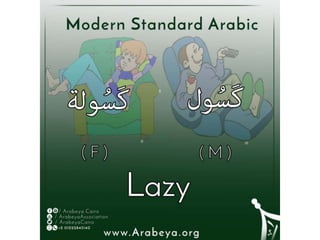 Modern standard Arabic (MSA) words and verbs | PPT
