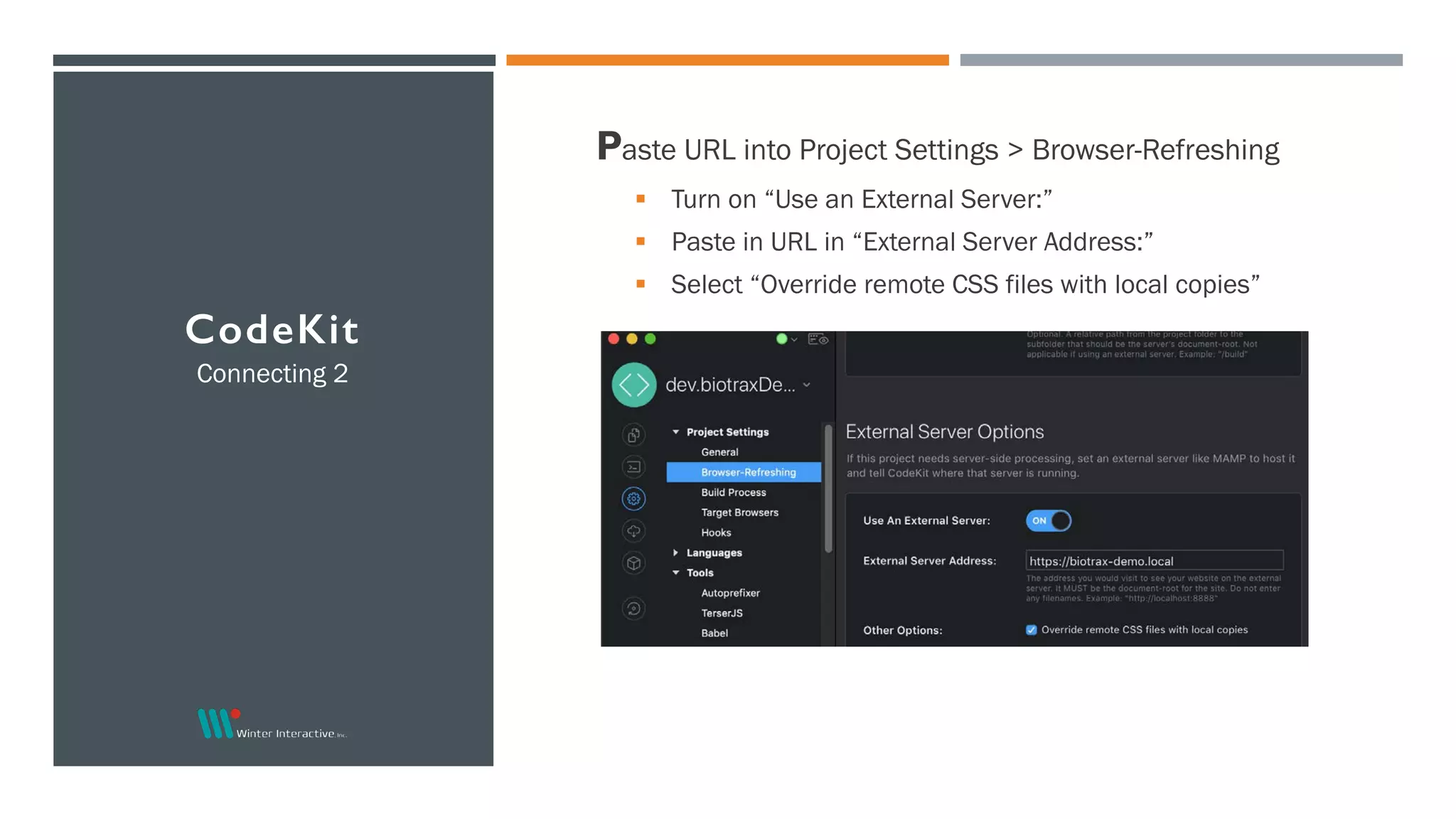 Winter Interactive presentation using WordPress CodeKit, Flywheel, Sublime Text | PPT