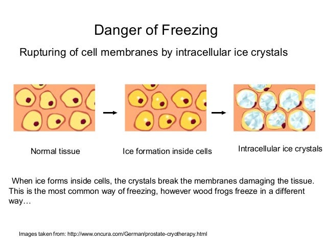 Winter chemistry and solar affects